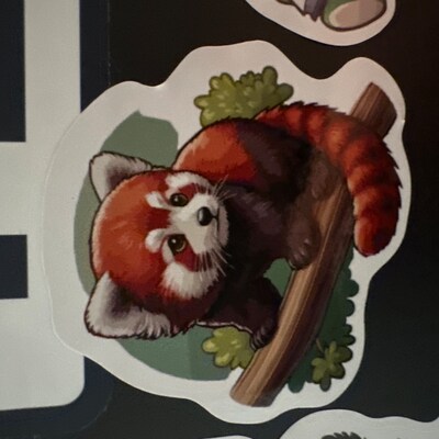 Red Panda Sticker, Red Panda, Cute Red Panda, Red Panda Plush, Digital ...