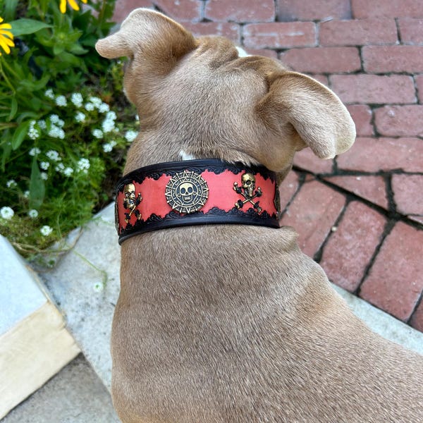Pirates of the Caribbean Hand Crafted Leather, Dog Collar, Personalized ...