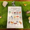 Printable Nature Scavenger Hunt for Kids Watercolor Full Color for ...
