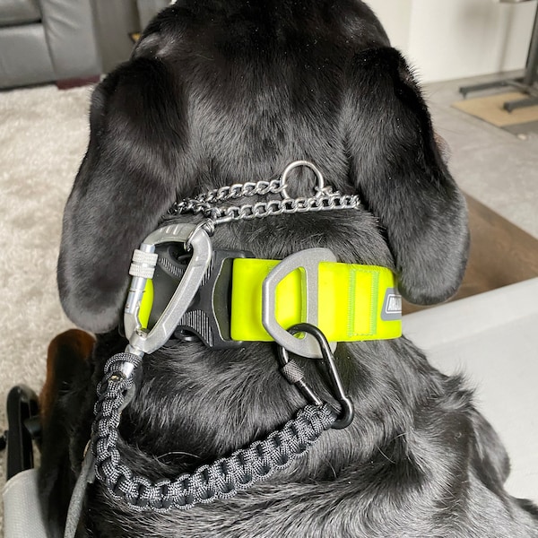 Dog Collar Safety Strap // Static - Etsy