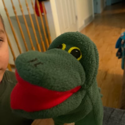 Spot the Dog Hand Puppet Puppy Tan Fleece VIP Kids Classroom - Etsy