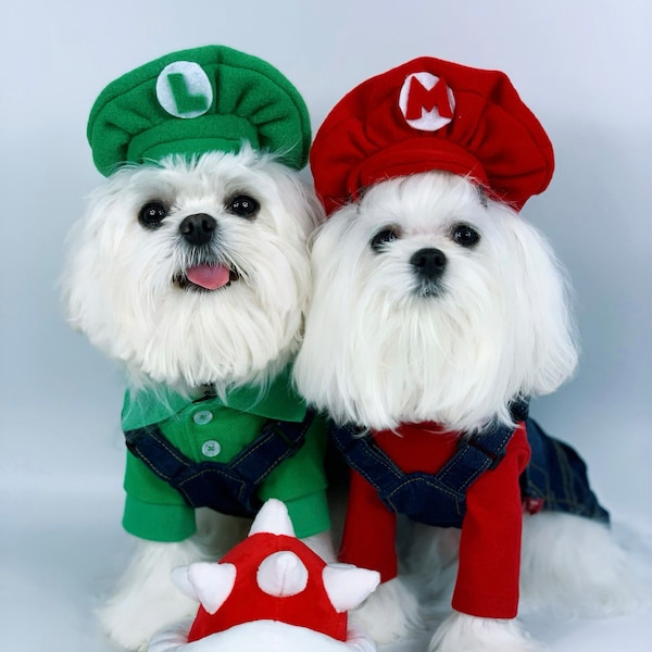 Mario Luigi Pet Hat – Adjustable Costume for Dog or Cat - Etsy
