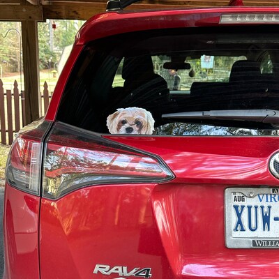 Custom Ear Pet Portrait Car Decal Personalized Dog Car - Etsy