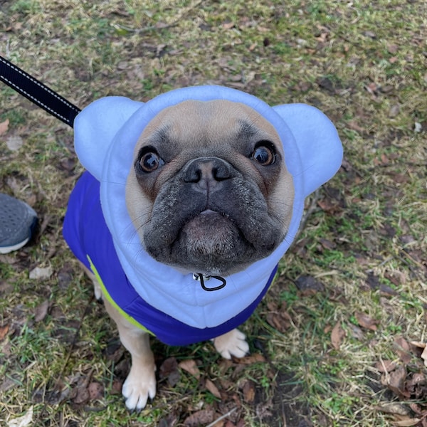 Frenchiestore Organic Dog Frenchie Ear Warmers | White Frenchie - Etsy