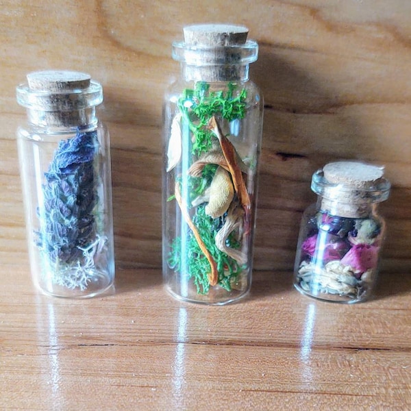 3pc Botanical Jars Set, Mini Dried Plant Jars, Cottage Decor, Floral ...