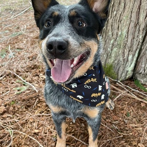 Concha Dog Squeaky Toy Concha Toy Mexican Sweet Bread Toy | Etsy