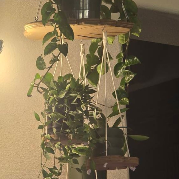 Monstera Multi Hanger, Plant Hanger, Plant Stand, Plant Decor, Plant ...