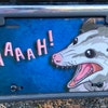 Funny Possum License Plate Screaming Possum License Plate - Etsy