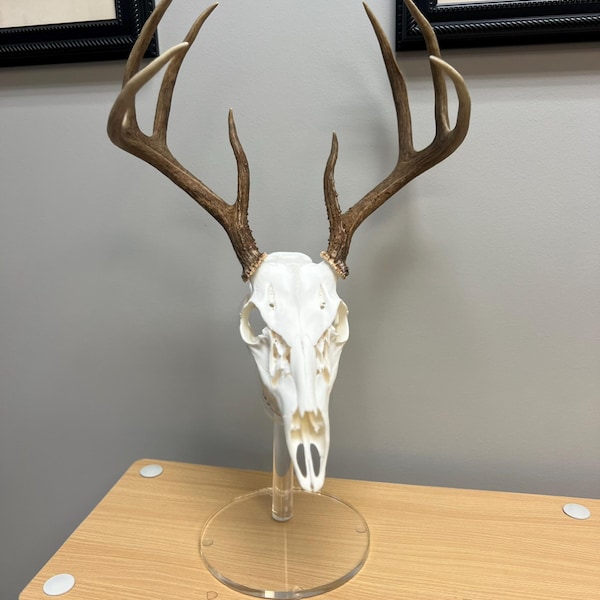 Clear Plastic Lucite Acrylic Keyhole Picture Frame Hardware Photo Wall ...