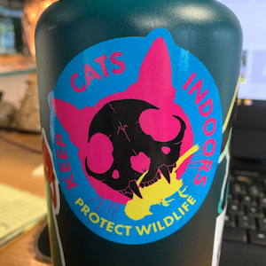 Become Moss Vinyl Decal - Etsy