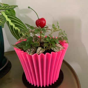 Ice Cream Cone 3D Printed Planter/vase Succulent Mini - Etsy