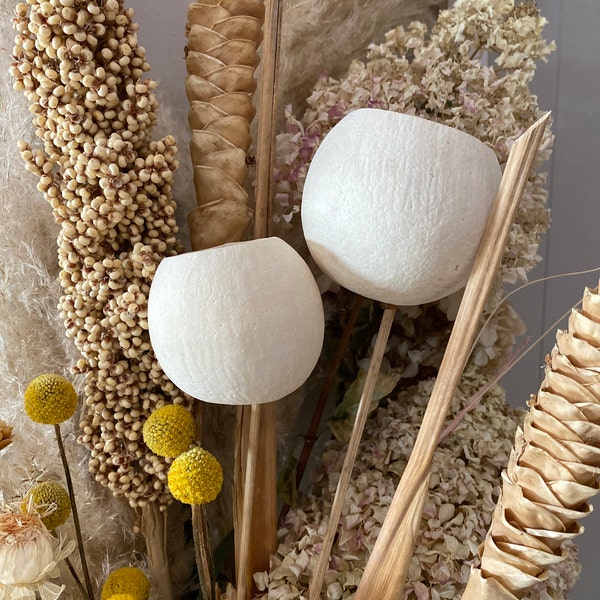 Bell Cups, Dried Flowers, Wedding Flowers, Bleached Bell Cups, Home ...