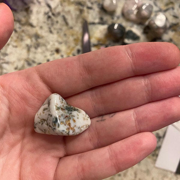 Tree Agate, Tree Agate Tumbled Stone, Tree Agate Tumble Stone, Tree ...