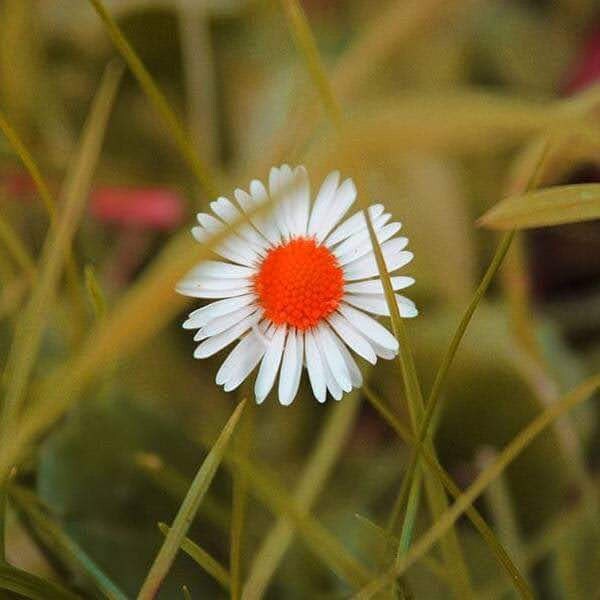 Wall Art Size Guide, Bedroom Frame Size Guide, Frame Size Guide ...