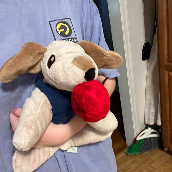 Mini Me Plush - Etsy