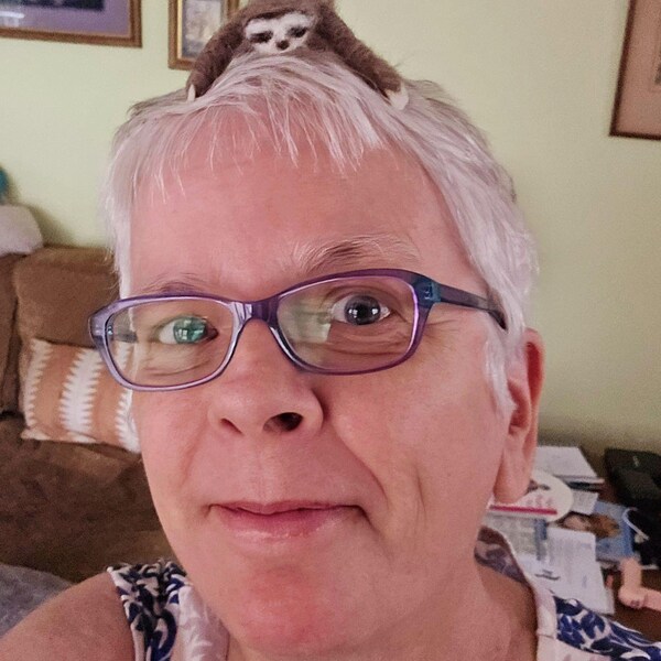 Sloth Desk Pet, Hand Felted Wool Sloth Sculpture, Sloth Gift - Etsy