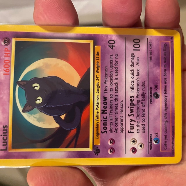 Pokemon Card Black Cat