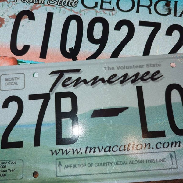 Authentic License Plates - All States Available & More in Craft ...