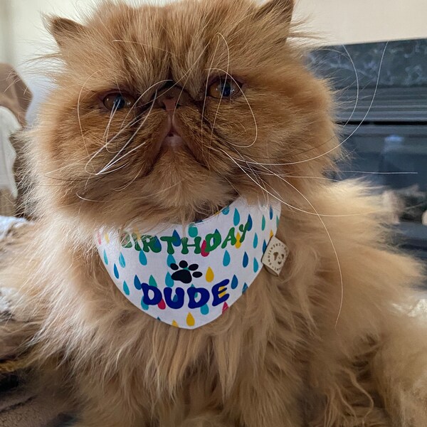 Set 1 Wood Cutting Templates for Over the Collar Pet Bandana Wood ...