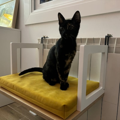 Corner Heights Bundle 1x Wally Tunnel Top, 2x Bridge 20, 2x Flat 45, 4x ...