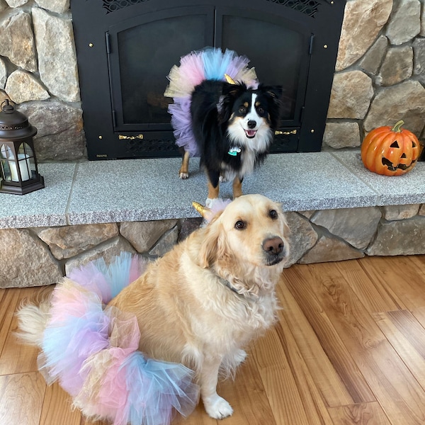 Unicorn Dog Costume: Horn Handmade, Cute, Rainbow, Fluffy Princess Dog ...