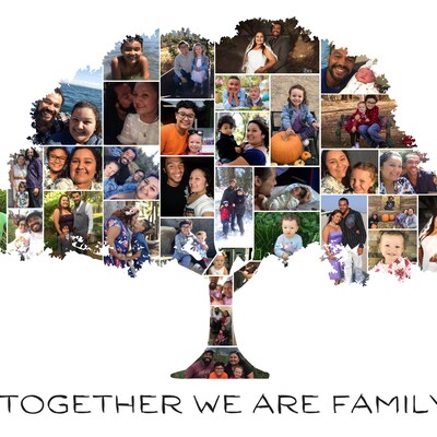 Custom Family Tree Collage Template Editable Personalized Family Tree ...