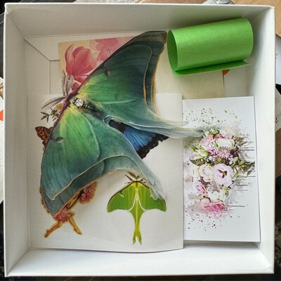 Silk Luna Moth Extra Large Lapel Pin Brooch 3d Three-layered Wings Faux ...