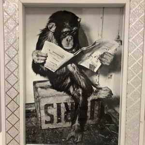 Chimpanzee Reading Newspaper Print, Monkey Business, Funny Print, Black ...