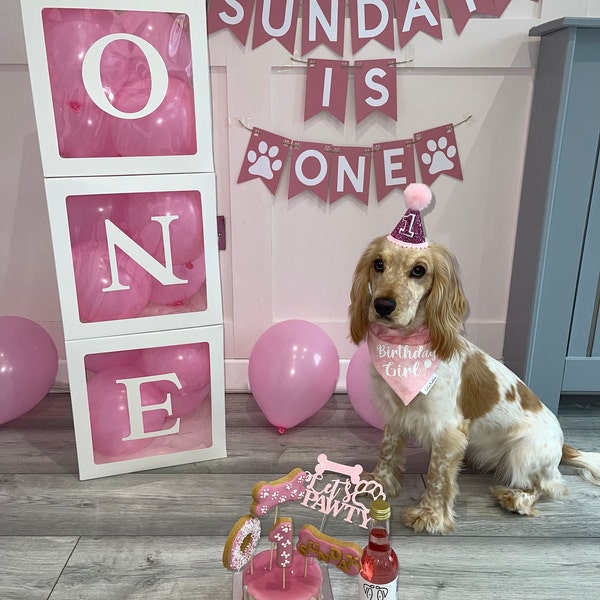 Dholi Sedan Chair Dholki Sangeet Walimah Wedding Favours Candy Boxes ...