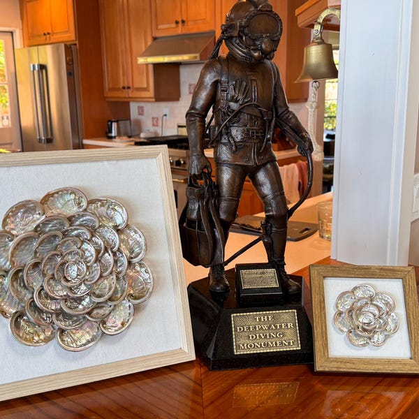 Abalone Shell Art, Abalone Shell Frame, Real Shell Art, Shell Flower ...