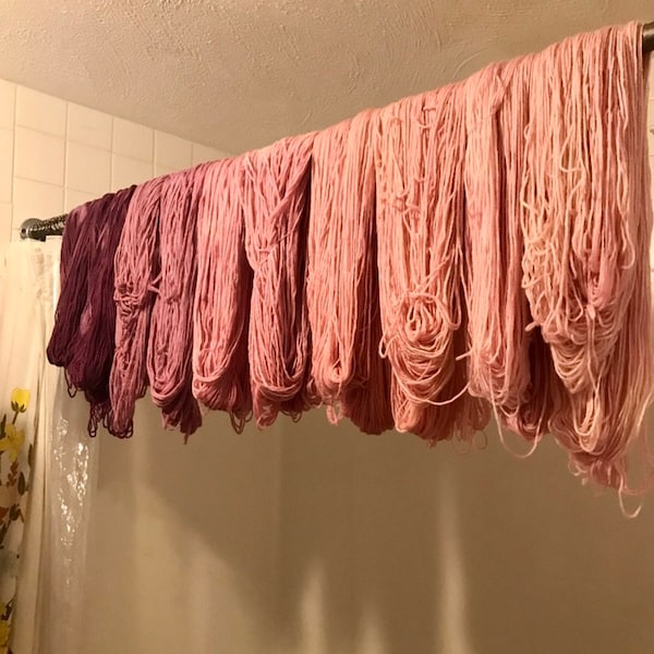 Whole Cochineal Bug Natural Plant Dye for Yarn Protein Dyes Earth ...