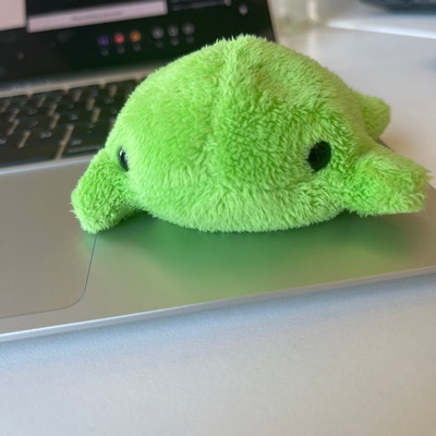 Baby Bean Frog. Cute Soft Fluffy Frog Filled With Plastic Pellets ...