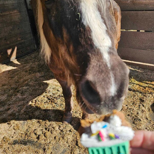 Alpha Kappa Alpha Cookies/aka Cookies - Etsy