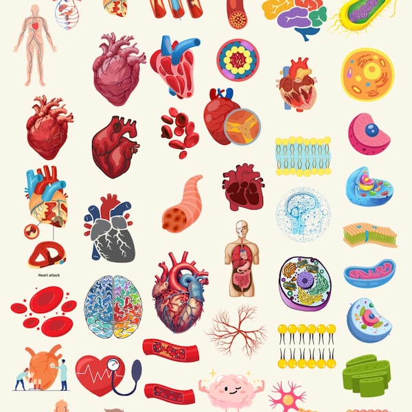 4000 + Biology Digital Stickers, Pre-cropped Human Body Stickers ...