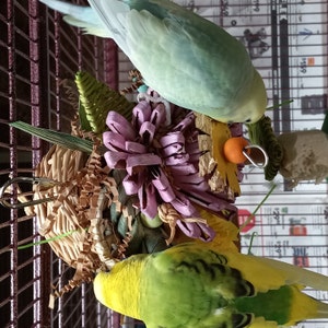 Botanical Bliss Seagrass Foraging Tray Rose Blossom Foraging Tray for ...