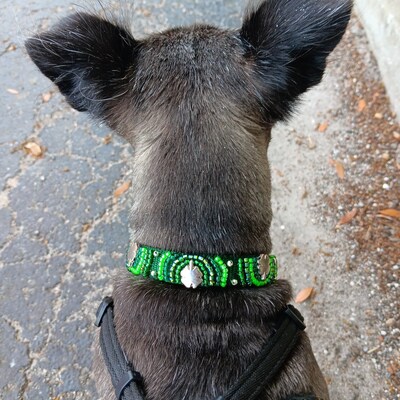 Blue Star Dog Collar, Star Pet Collar, Patriotic Dog Collar, Patriotic ...