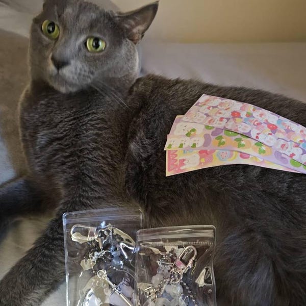 Shoujo Manga Cluttered Photo Keychains 1 (limited) - Etsy