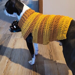 Ledger Sweater CROCHET Pattern Beginner Friendly Sweater for Dogs in 5 ...
