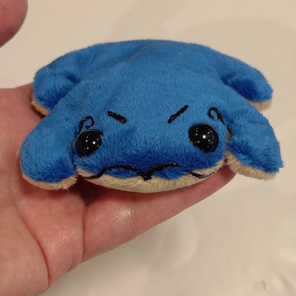 Choose Your Color Combo Frog Plush// Pocket Frog Plushie// Bean Bag ...