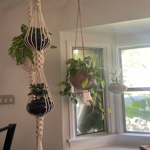 Green Planter Vintage Planter Birthday Gift for Crazy Plant - Etsy