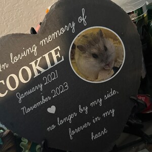 Personalized Rat Memorial Stone, Garden Stone, With Picture, Memorial ...