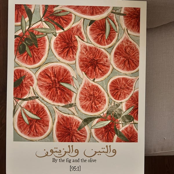 Fig and Olive - Islamic Wall Art - Quran Art - Modern Islamic Art ...