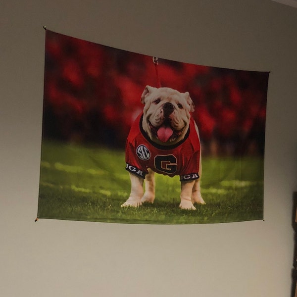 UGA: Georgia Bulldogs Uga X Mascot Photo Picture Print, Graduation Gift ...