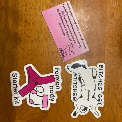 Funny Veterinary Receptionist Sticker Pack Vet Stickers - Etsy