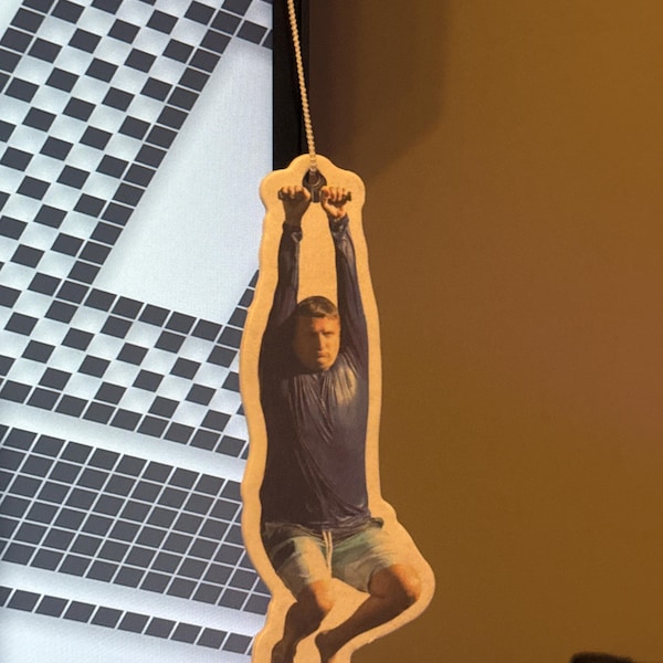 Tim Robinson on a Zipline Meme Car Air Freshener - Etsy