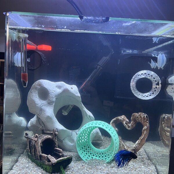 Betta Fish Cave Lounge Hammock, Aquarium Decor to Swim-through, Hide ...