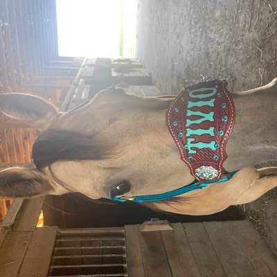 Custom Nylon Bronc Halter Stronger Design Than Tab Style - Etsy