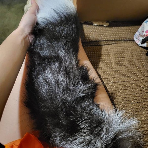 Springbok Skin Natural Springbok Skin XXL Size Tanned Springbok Hide ...