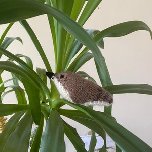 SPECIAL OFFER Knitting Pattern Wren - Etsy