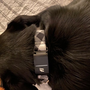 Rifle Paper Co Print Dog Collars 9 Cute Floral Trendy Patterns No ...